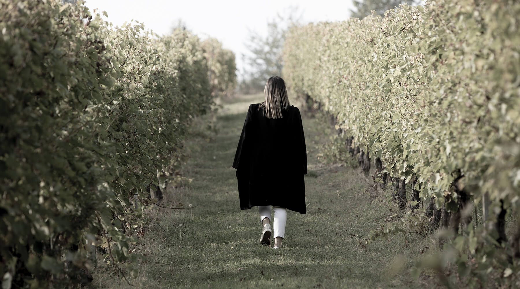 The Lambrusco that goes well with life - CECI 1938